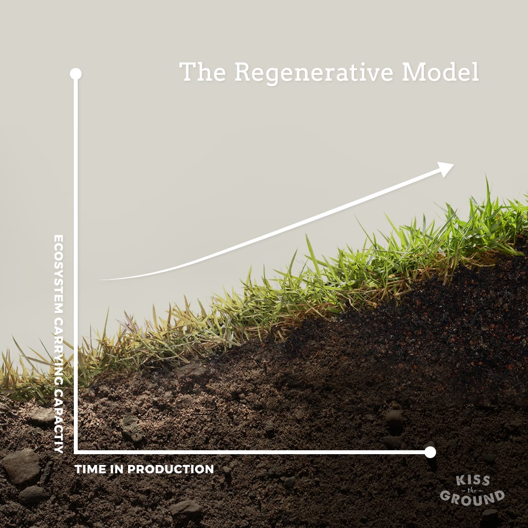 Kiss the GroundBeyond Sustainable: Think Regeneratively