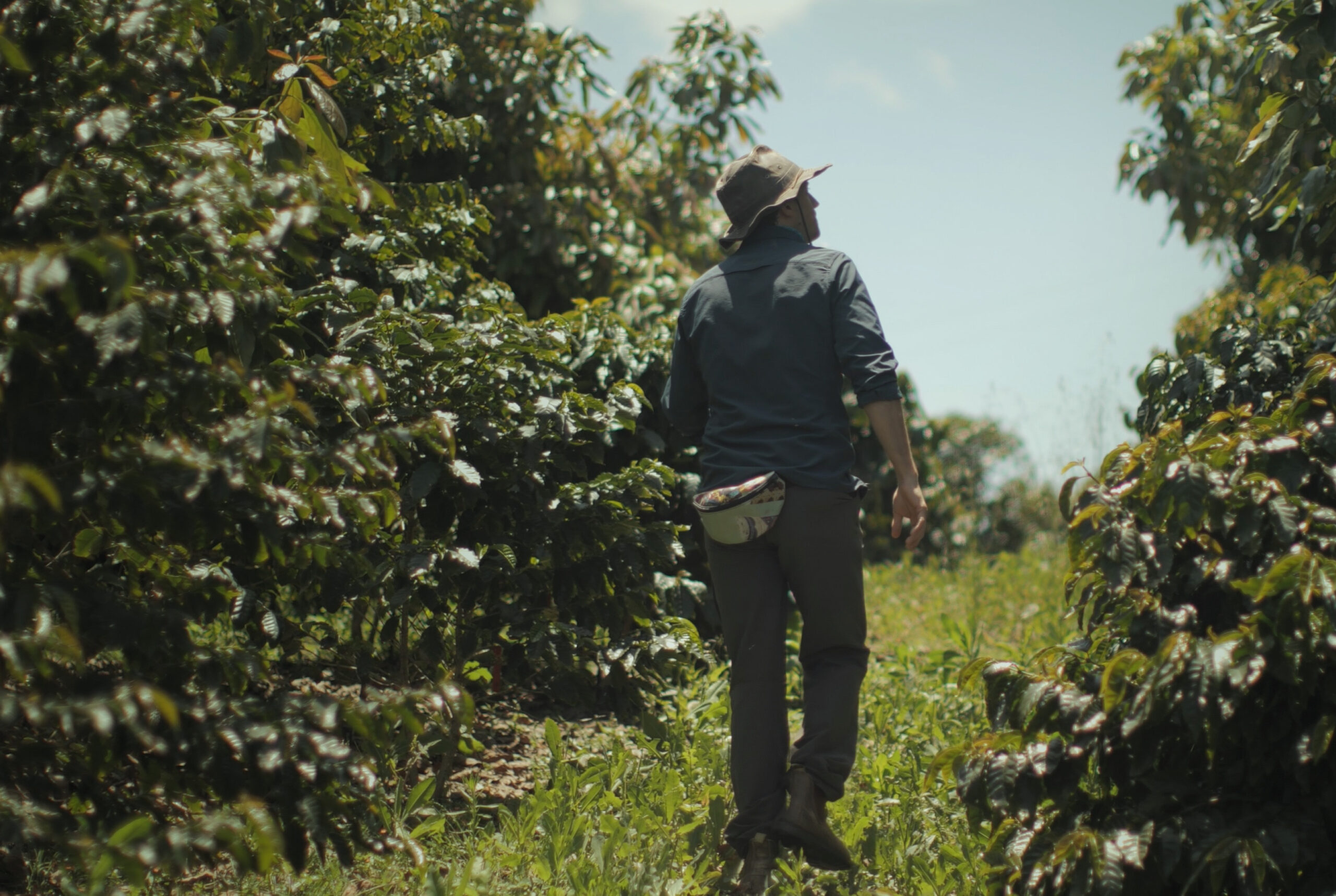 Kiss the Ground Film FAQ - Kiss the Ground