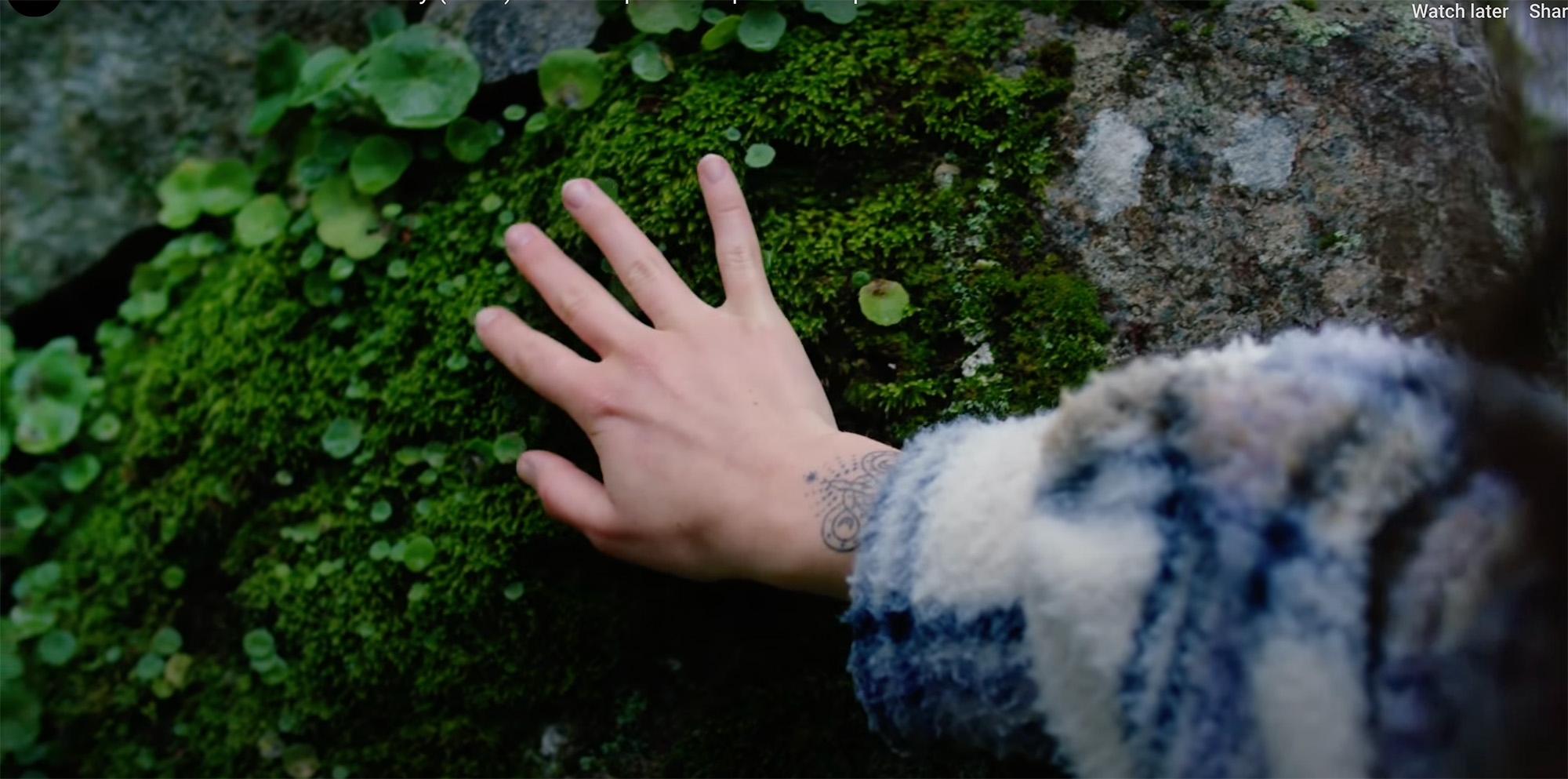 Feature Films - Kiss the Ground