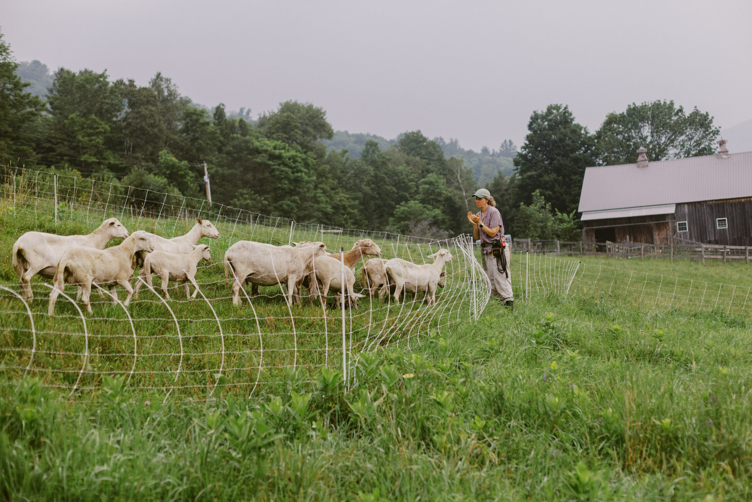 5 with a Farmer Gallery - Kiss the Ground