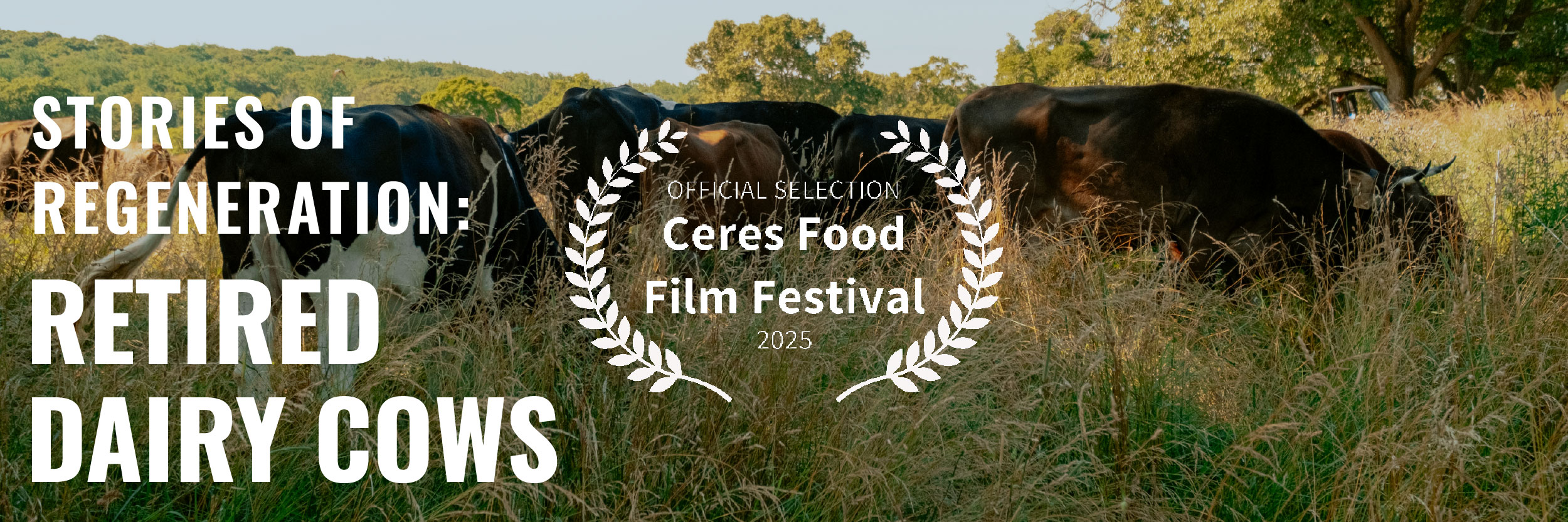 From Dairy to Delicacy: Kiss the Ground Expands Its Award-Winning Mini ...